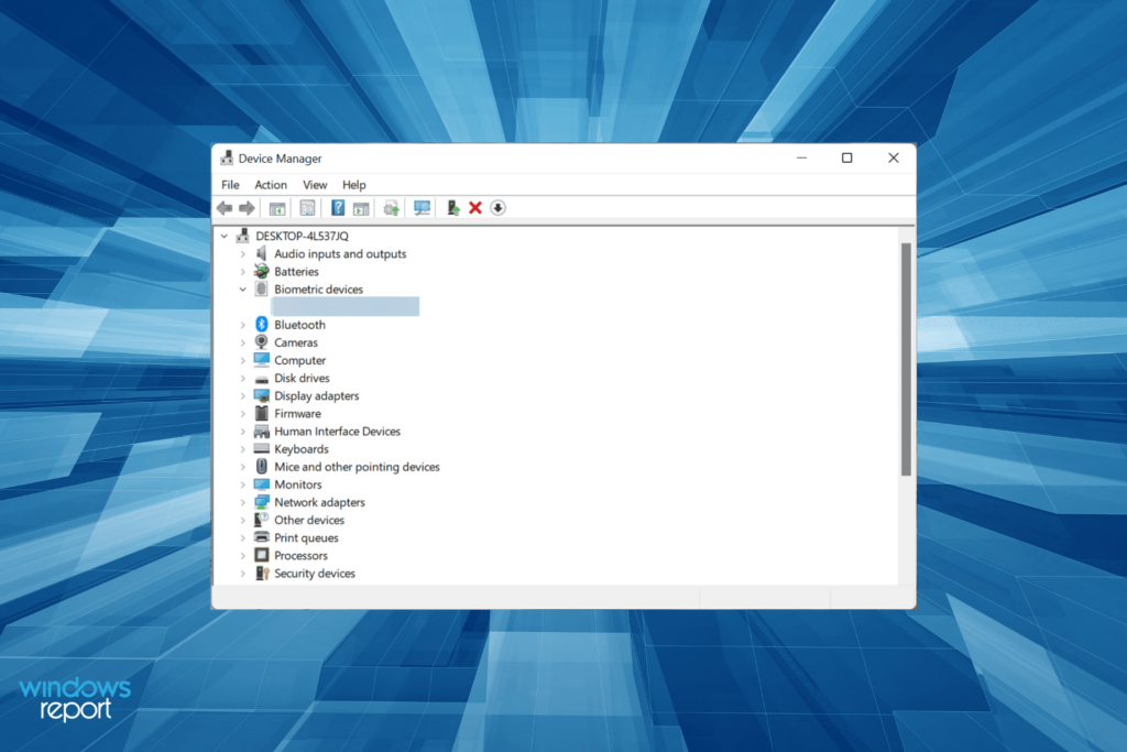 Como instalar o driver Hello Face para Windows 11 - WindowsReport