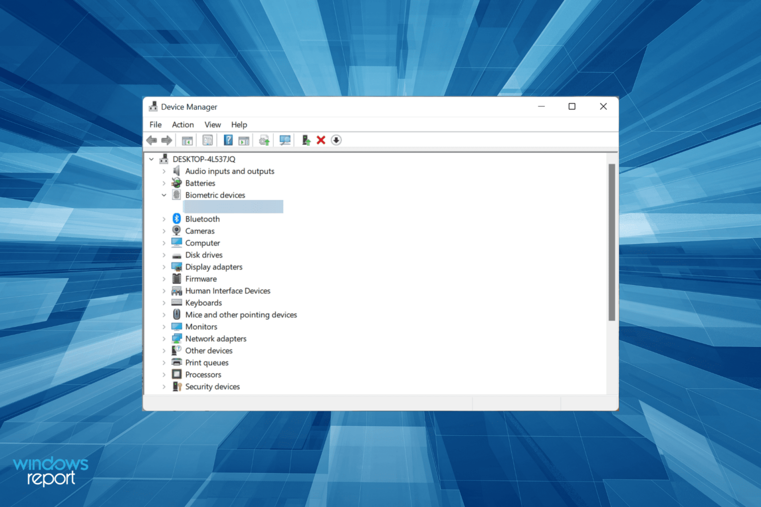 Como instalar o driver Hello Face para Windows 11 - WindowsReport