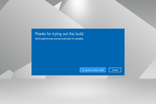 No Option to Go Back to the Previous Version of Windows 10