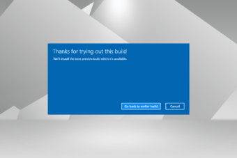 No Option to Go Back to the Previous Version of Windows 10