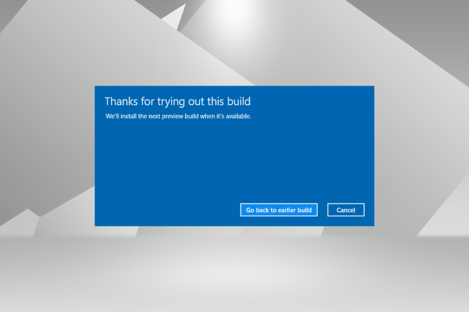 No Option to Go Back to the Previous Version of Windows 10