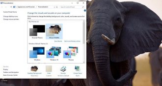 Microsoft Store Themes: How To Download & Install
