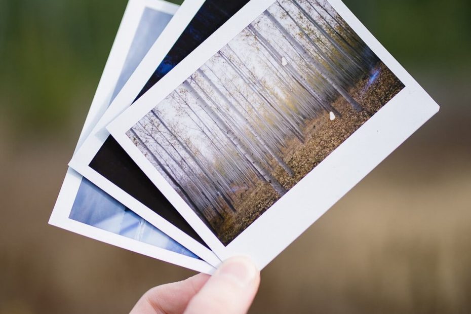 4 Best Image Warping Software to Use in 2026