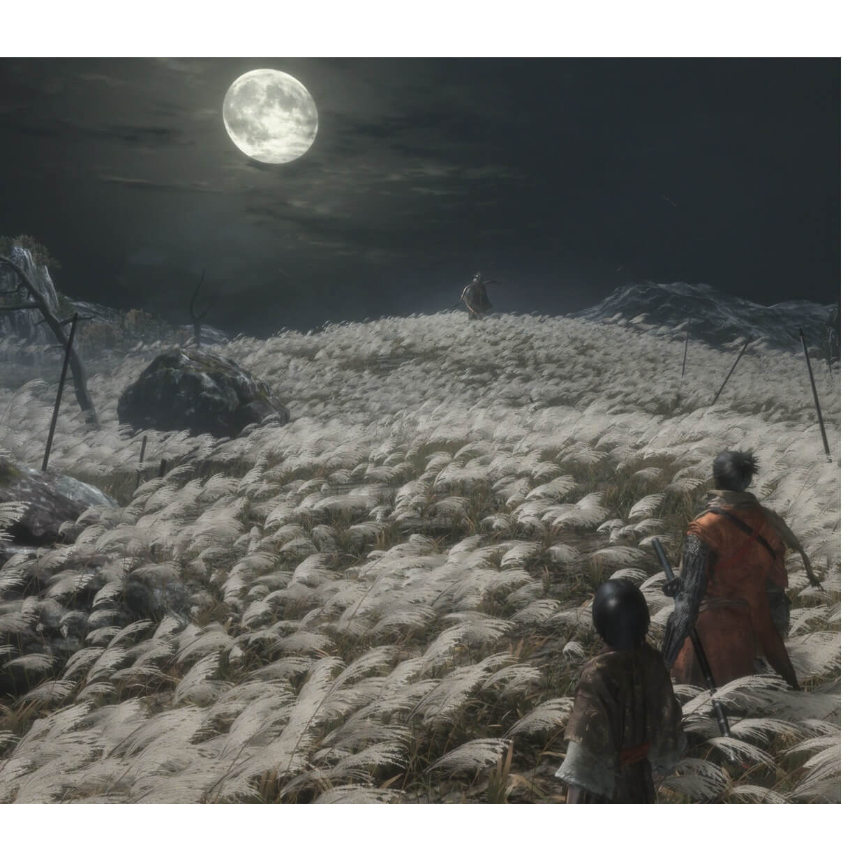 Fix: FDP System Message 4161 and Other Bugs in Sekiro