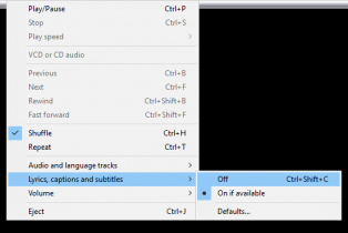 SOLVED: Windows Media Player subtitles not working