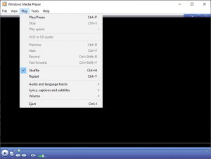 SOLVED: Windows Media Player subtitles not working