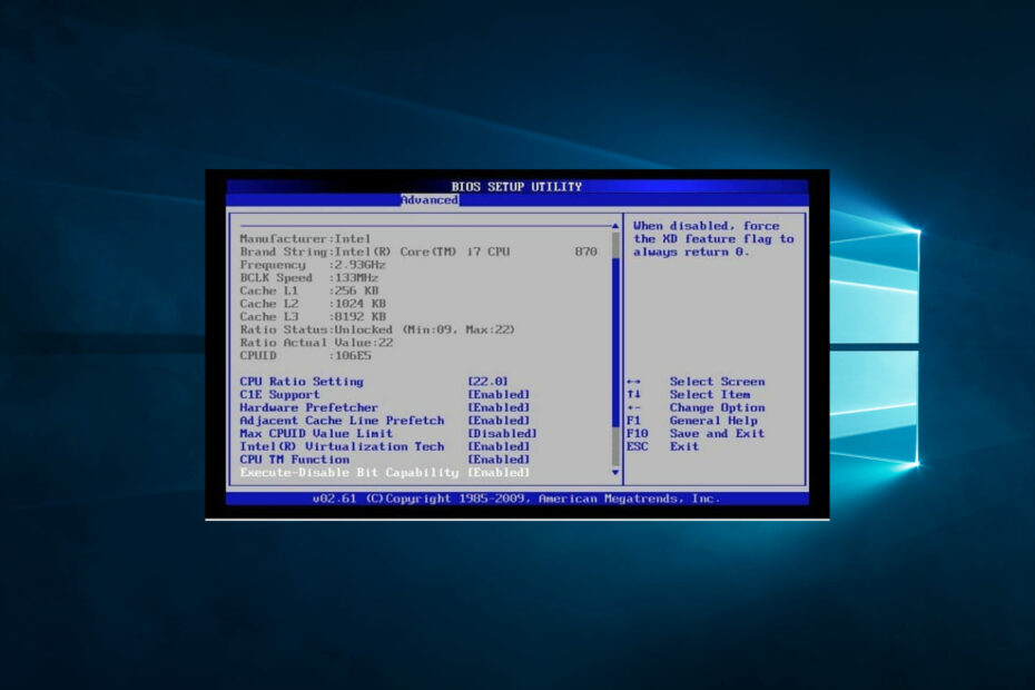 Watchdog.sys Crash: 4 Easy Methods to Fix this BSOD Error