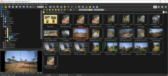 GIF Viewer Software for Windows: 6 Best in 2026