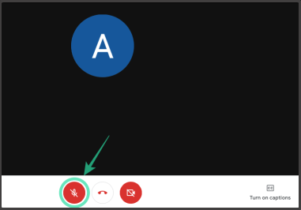 Mic is Off Due to the Size of the Call on Google Meet [Fix]