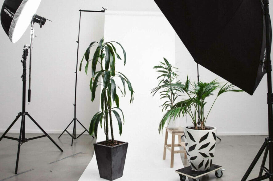 3 Best mini photo studio box [Portable / LED]