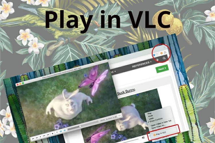 How to change the default video player on your browser?