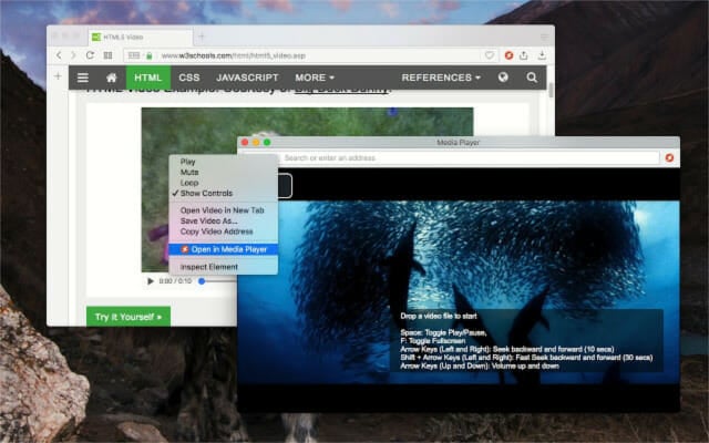 How to change the default video player on your browser?
