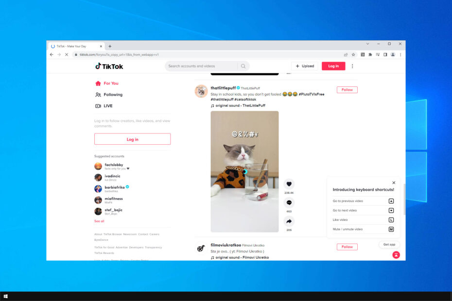 How to Watch Your Favourite TikTok Videos in Your Browser