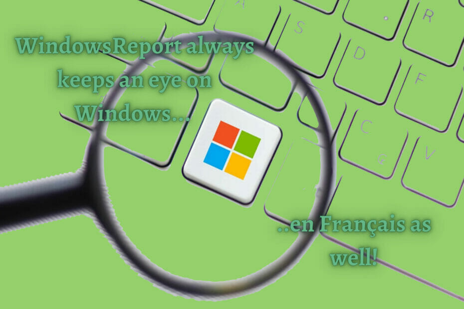 Blog Archive • Windows Report