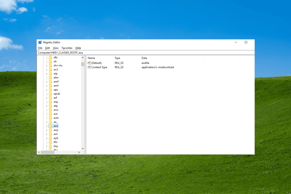 Exe Files not Opening on Windows 7: How to Force Open Them