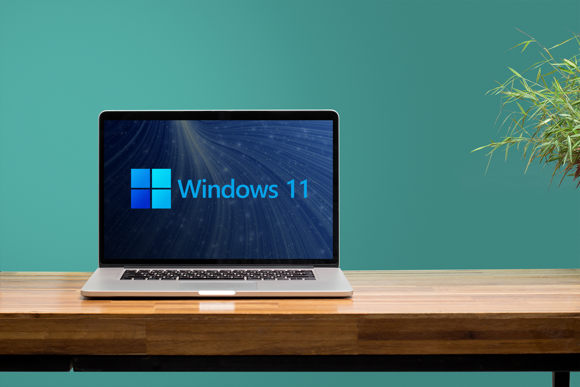 How to Change Password / Username on Windows 11 [Step-by-Step]