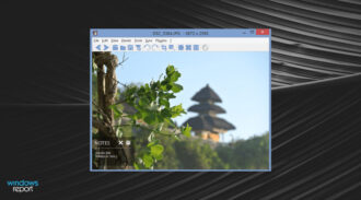 Best Photo Viewer for Windows 7 in 2026
