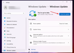 How to Fix Windows 11 Password Sign-In Option Missing [5 Ways]