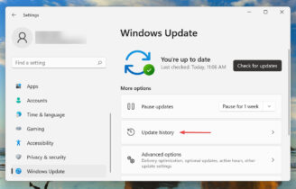 Windows 11 Keeps Crashing: 9 Ways to Stop it