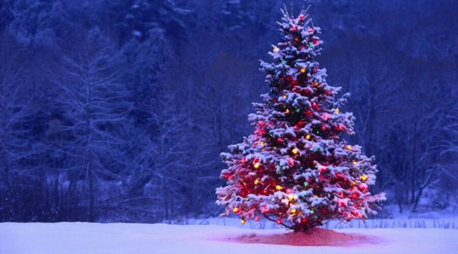 14 Christmas Desktop Themes to to Add Holiday Magic to Your Windows 11