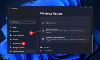 Custom Resolution on Windows 11: How to Fix & Change it