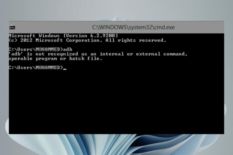 ADB is Not Recognized in Windows 11: How to Enable it