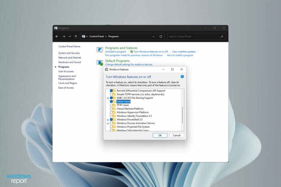 Telnet on Windows 11: How to Download, Install & Enable it