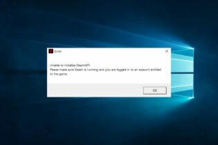 Unable to Initialize Steam API: 4 Quick Ways to Connect to it