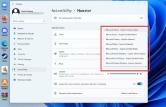 Use Text-to-Speech and Voice Recognition on Windows 11