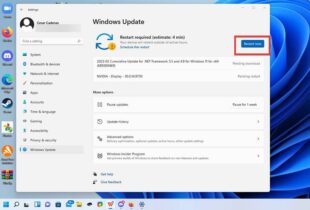 How to Update Graphics Driver in Windows 11: 5 Simple Ways