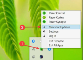 4 Ways to Fix Razer Synapse is not Detecting Your Headset