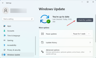 Power Management Tab is Missing: How to Get it Back