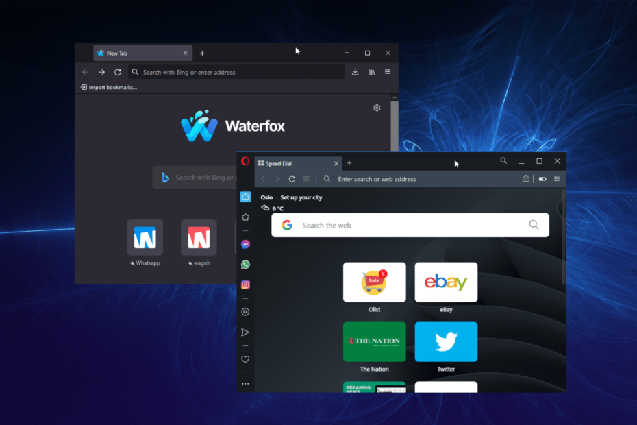 Opera vs Waterfox: Which One Should You Use?