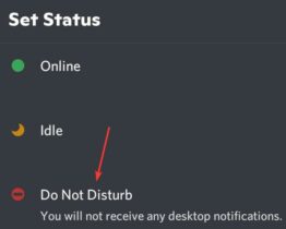 What does Discord Do Not Disturb Mean and How to Use it?