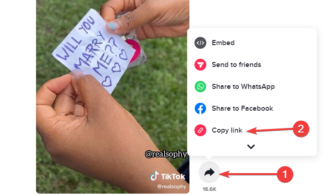 How to Bulk Download TikTok Videos: 3 Fastest Ways