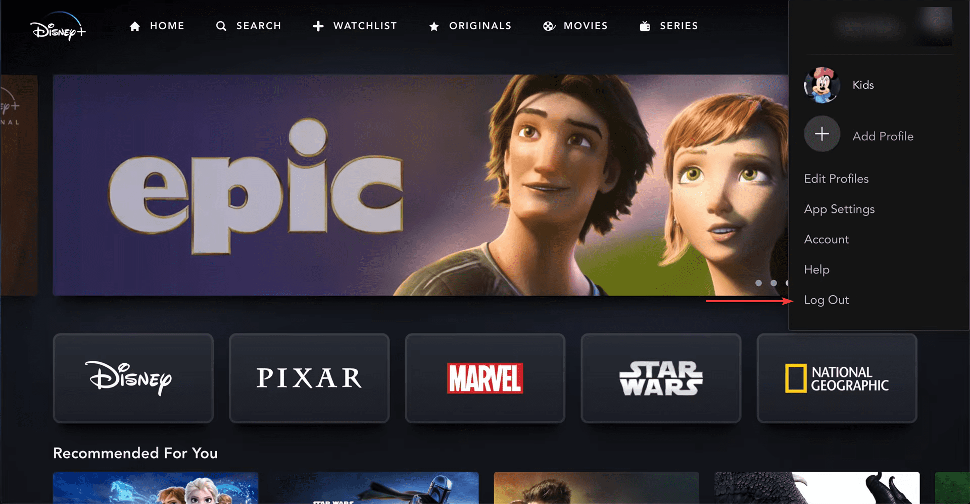 2 Ways to Bypass Error Code 11 on Disney Plus
