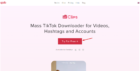 How to Bulk Download TikTok Videos: 3 Fastest Ways