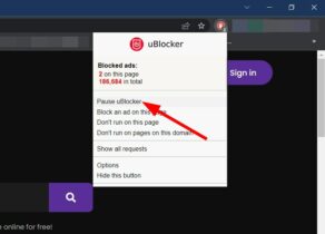 9Anime not Working on Chrome? Here's How to Fix it