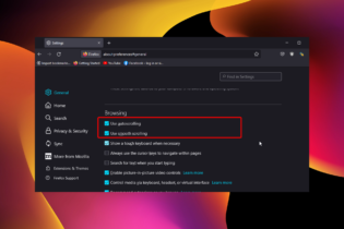 5 Quick Ways to Make Mouse Scroll Work Again on Firefox