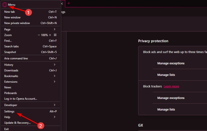 Opera GX Privacy Error: 4 Ways to Get Rid of it Permanently