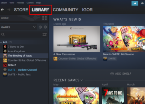4 Easy Ways to Delete Steam Cloud Saves From Your PC