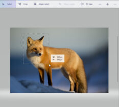 How to Blur Images in Paint 3D: Step by Step Guide