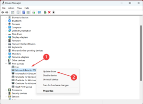 Microsoft Print to PDF Not Working [FIXED Error]