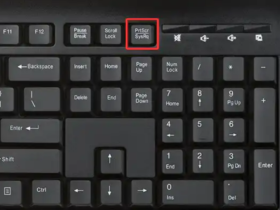 Auto Save a Screenshot on Windows 11: 3 Ways to do it