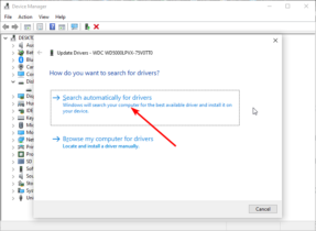 PC Not Recognizing SD Card? 5 Easy Ways to Fix it