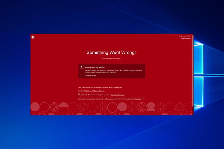Something Went Wrong! Tor Is Not Working in This Browser [FIX]