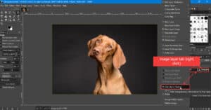Making a Transparent Background In GIMP [4 Different Ways]
