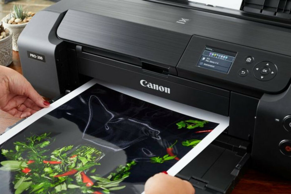 5 Ways to Fix Your Canon Printer if It's Not Printing Black