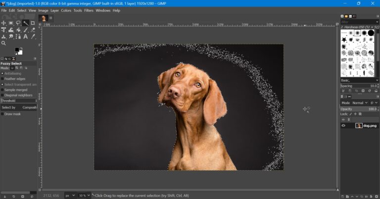 Making a Transparent Background In GIMP [4 Different Ways]