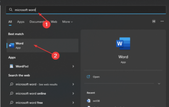 5 Ways to Fix Microsoft Word Not Opening in Windows 11